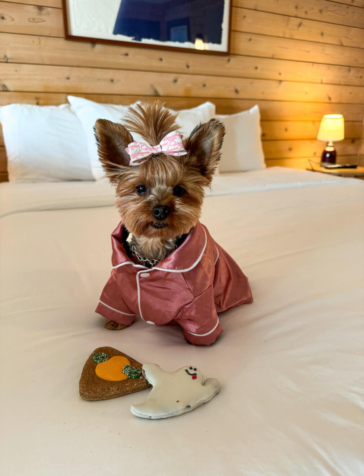 Sound View Greenport: The Ultimate Dog-Friendly Getaway - Traveling ...